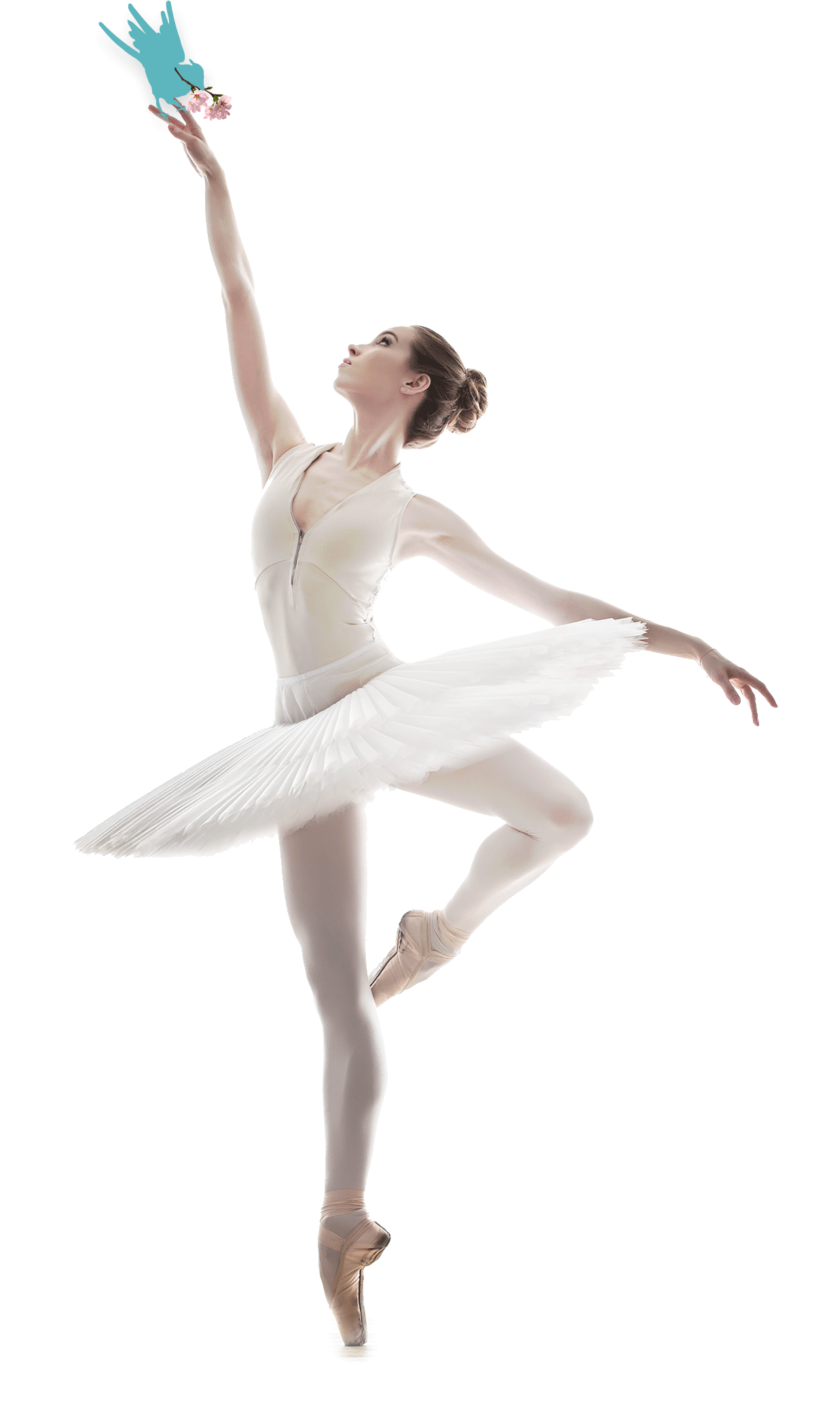 Download Ballet Dancer Png Picture - Dance Pictures Framed Ballet PNG ...