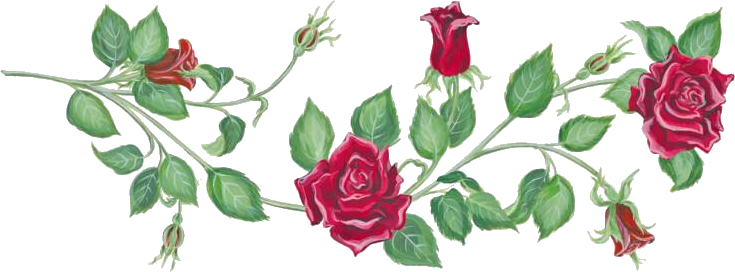 Download Photo Rosevine - Clip Art Rose Vines PNG Image with No ...