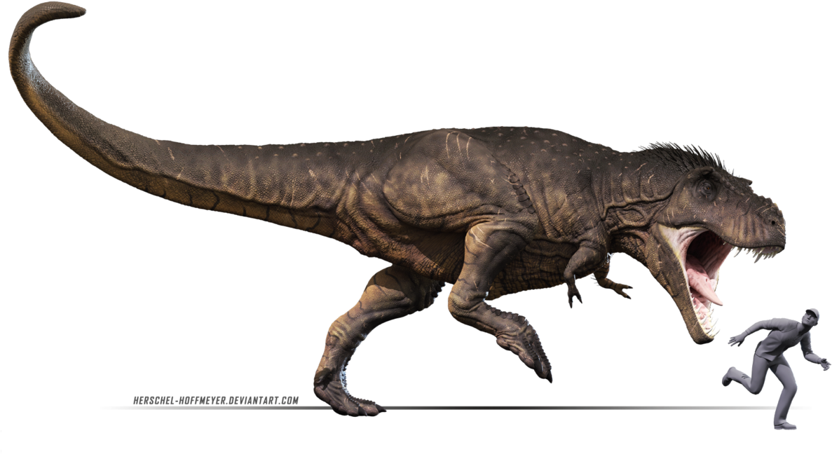 T Rex Background Png - T Rex Render - Free Transparent PNG Download ...