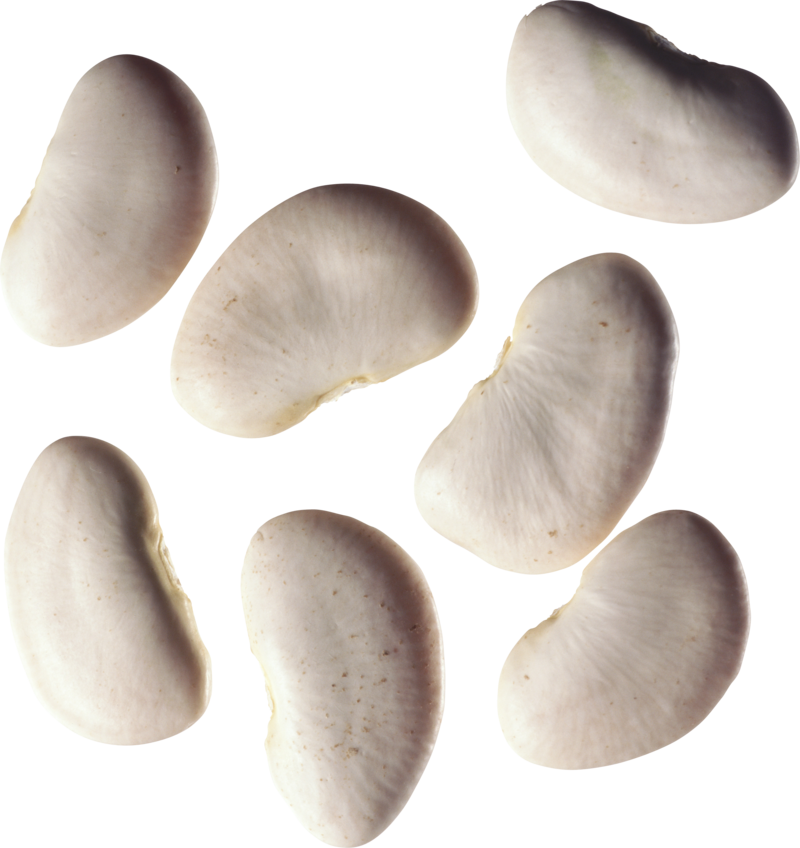 Download Kidney Beans Png, Download Png Image With Transparent PNG ...