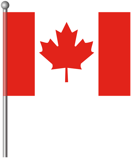 Wallace Johnson - Free Transparent PNG Download - PNGkey