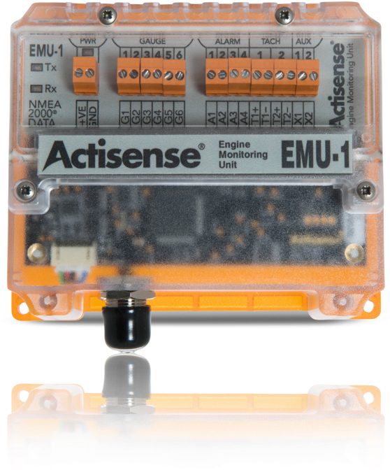 Download Emu Png PNG Image with No Background - PNGkey.com