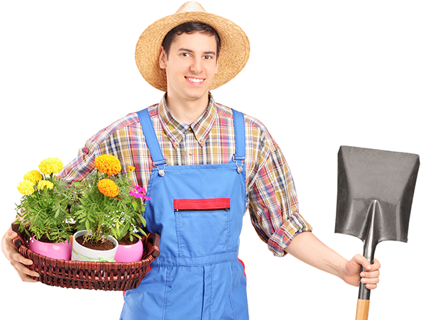 Download Prev PNG Image with No Background - PNGkey.com