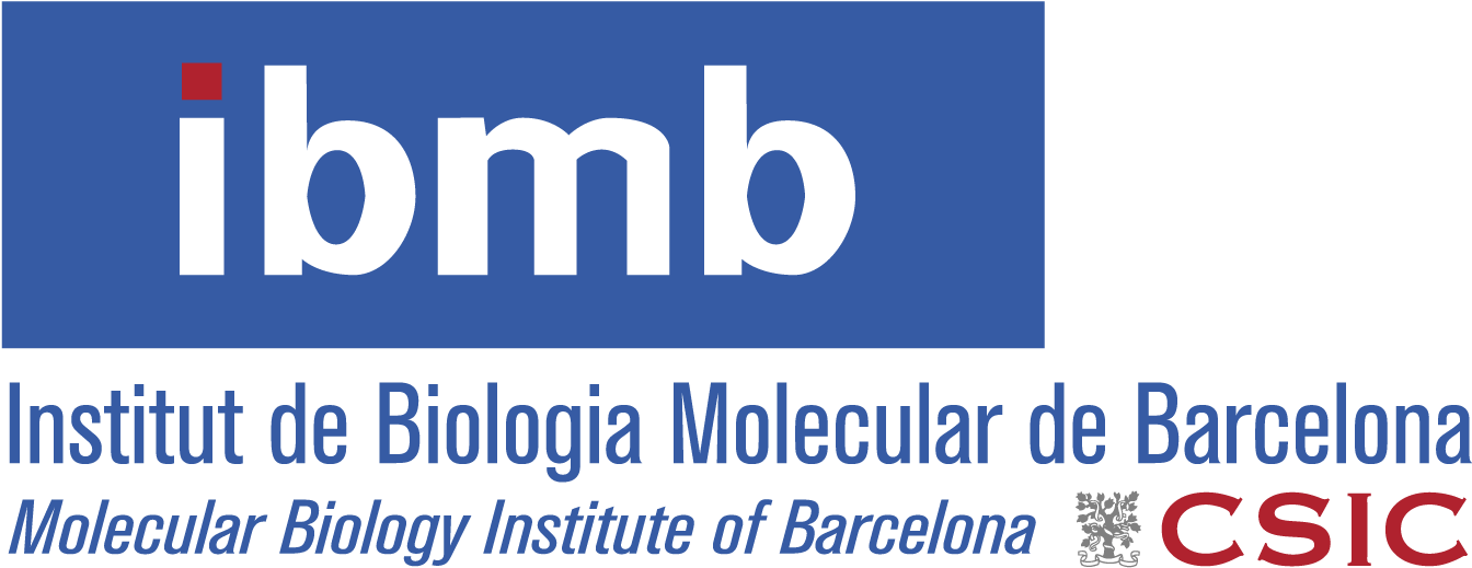 Download Logo Ibmb Csic-01 PNG Image with No Background - PNGkey.com