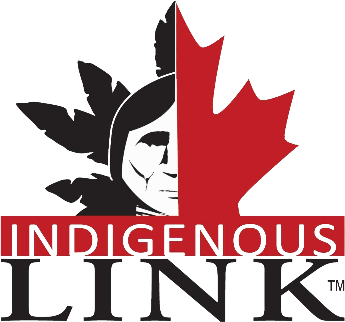 Download Link™ PNG Image with No Background - PNGkey.com