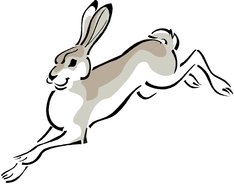 Download Jack Rabbit Clip Art Free PNG Image with No Background ...