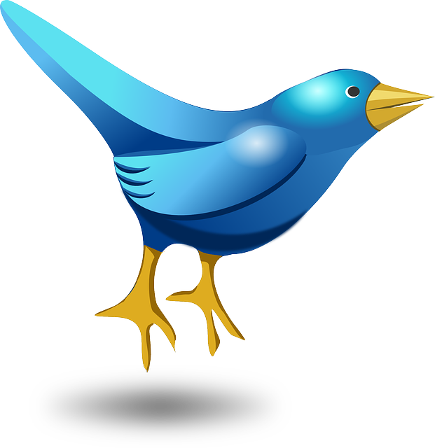 Download Twitter, Tweet, Bird, Funny, Cute, Blue, Messaging - Bird ...