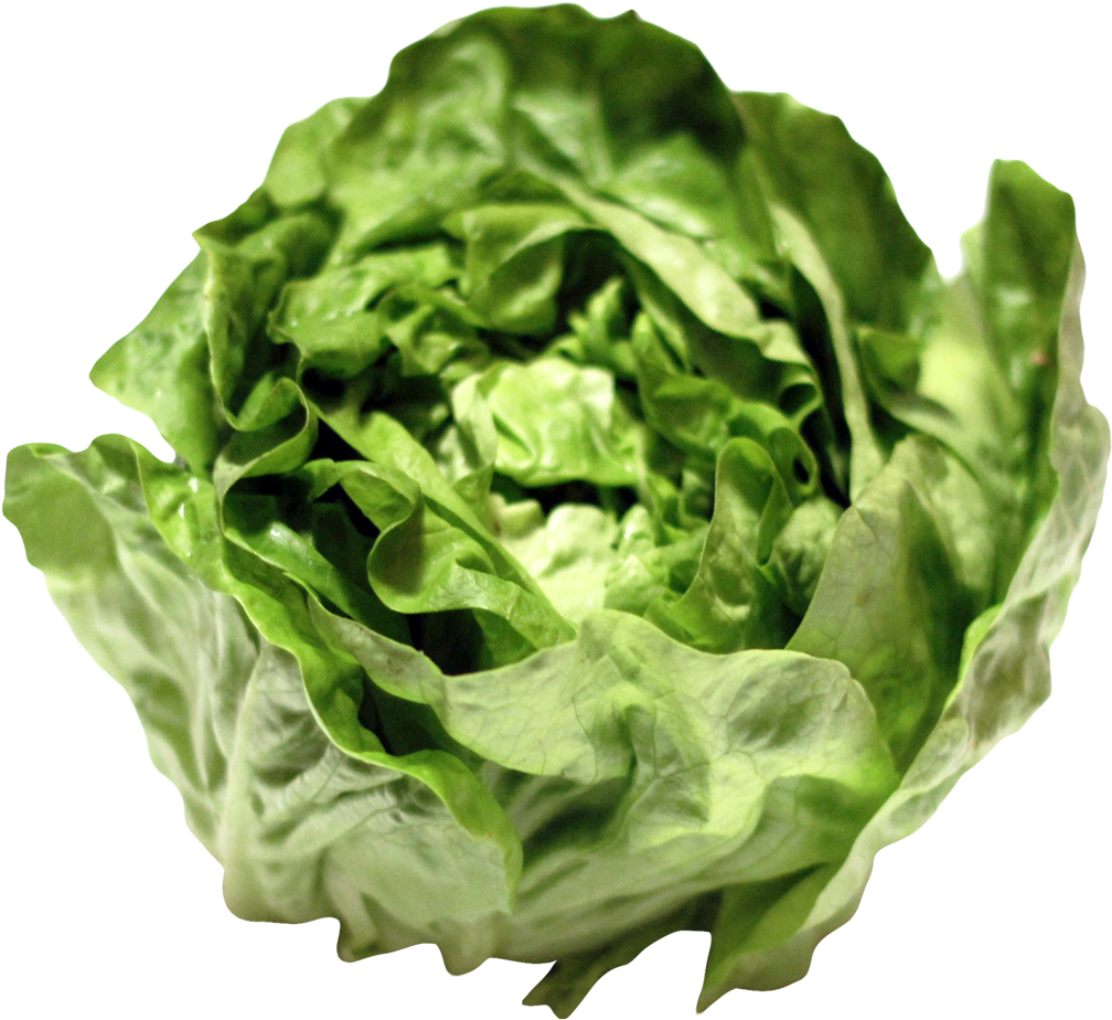 Free Png Lettuce Png Images Transparent - Lettuce Png - Free ...