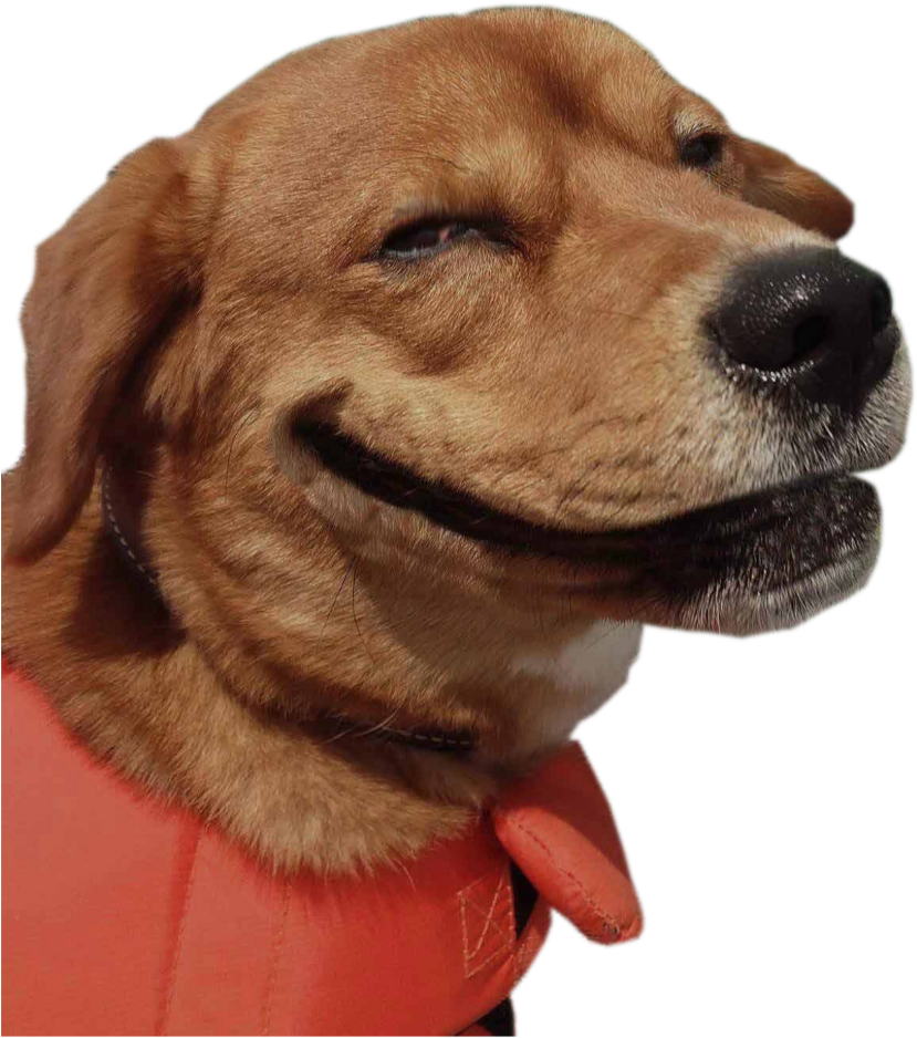 Download Smiling Dog Weed PNG Image with No Background - PNGkey.com
