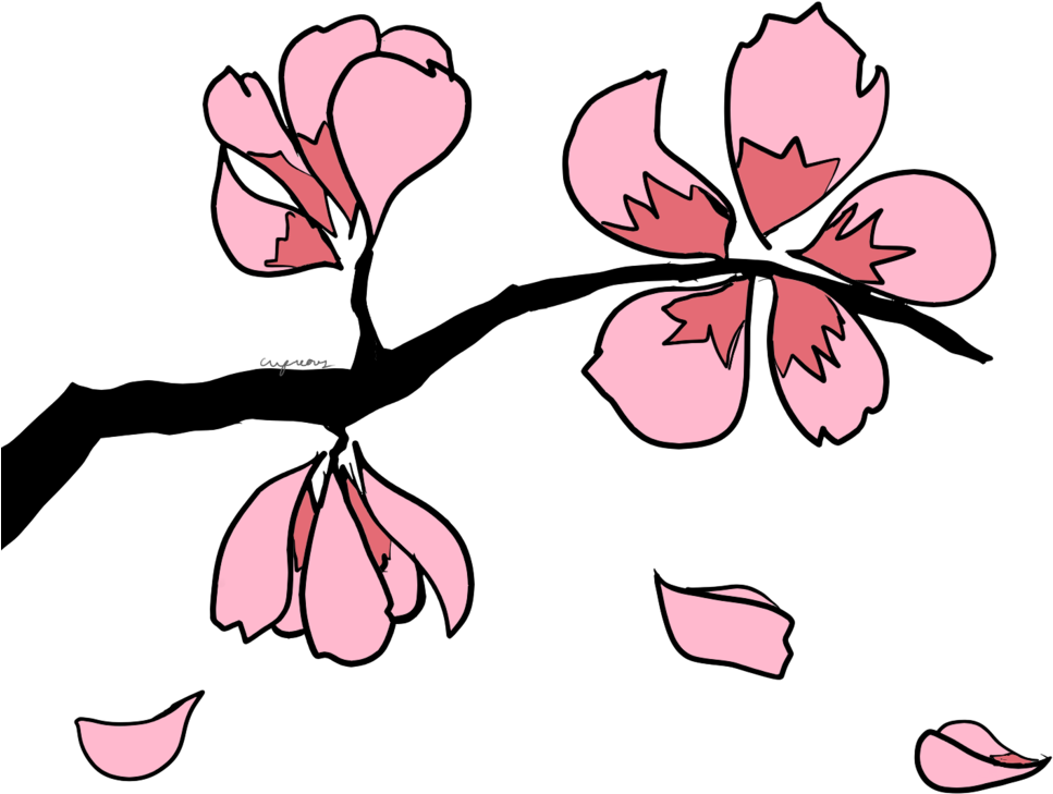 Download Sakura Clipart Transparent - Sakura Branch Clip Art Png PNG ...