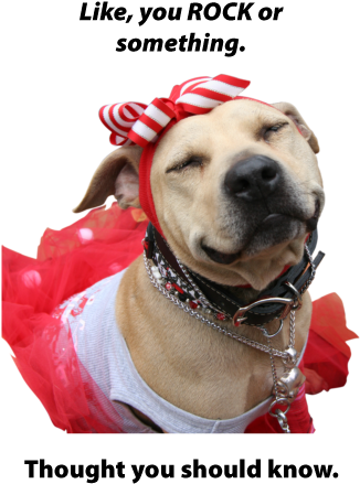 You-rock - You Rock Dog - Free Transparent PNG Download - PNGkey