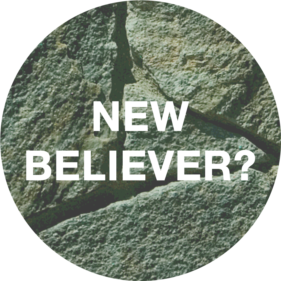 Download Button New Believer PNG Image with No Background - PNGkey.com