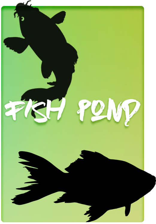 Download Fish-pond PNG Image with No Background - PNGkey.com