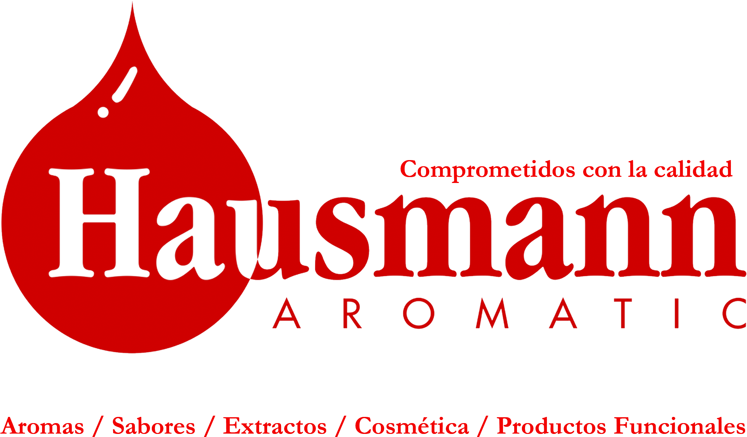 Download Hausman Logo PNG Image with No Background - PNGkey.com