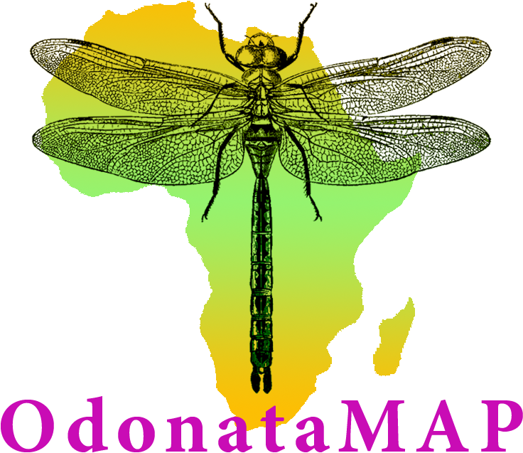 Download [inmage Size Reduced] PNG Image with No Background - PNGkey.com