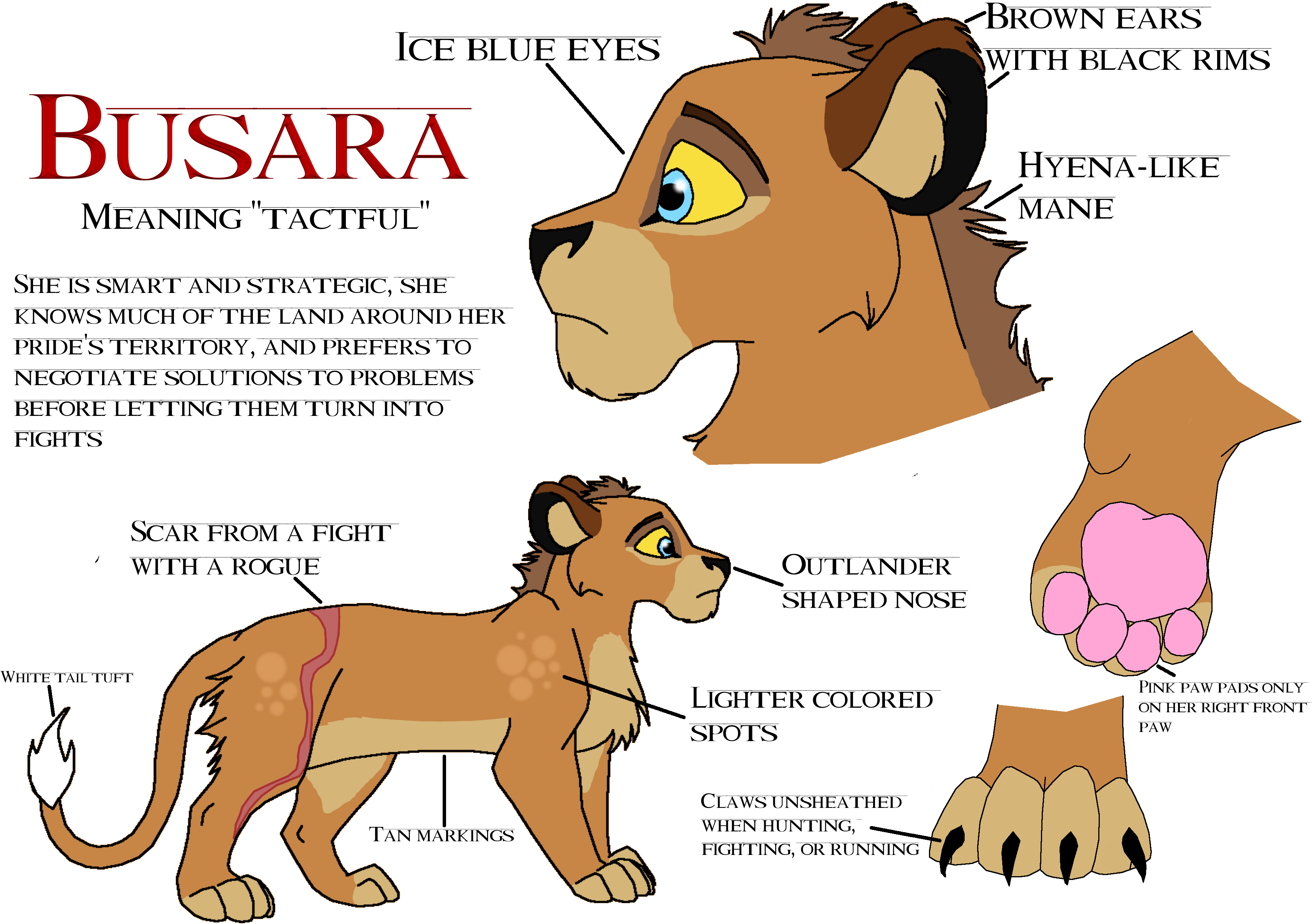 Download Busara Ref Sheet PNG Image with No Background - PNGkey.com