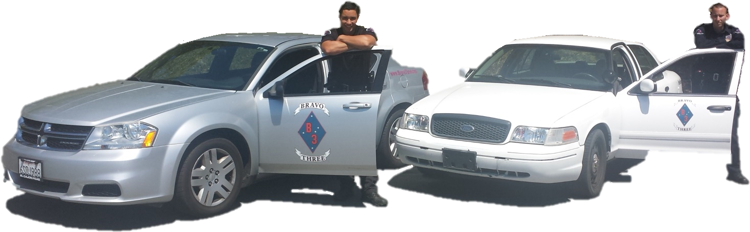 Security Patrol Vehicle - Ford Crown Victoria Police Interceptor - Free ...