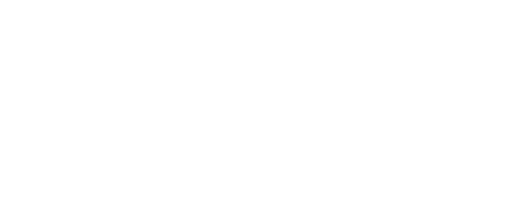 Download Shadowbug Logo PNG Image with No Background - PNGkey.com