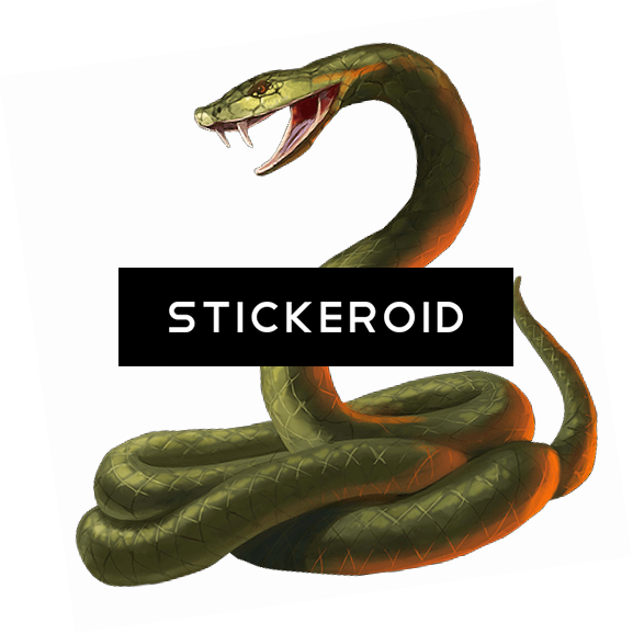 Cobra Snake Head - Free Transparent PNG Download - PNGkey