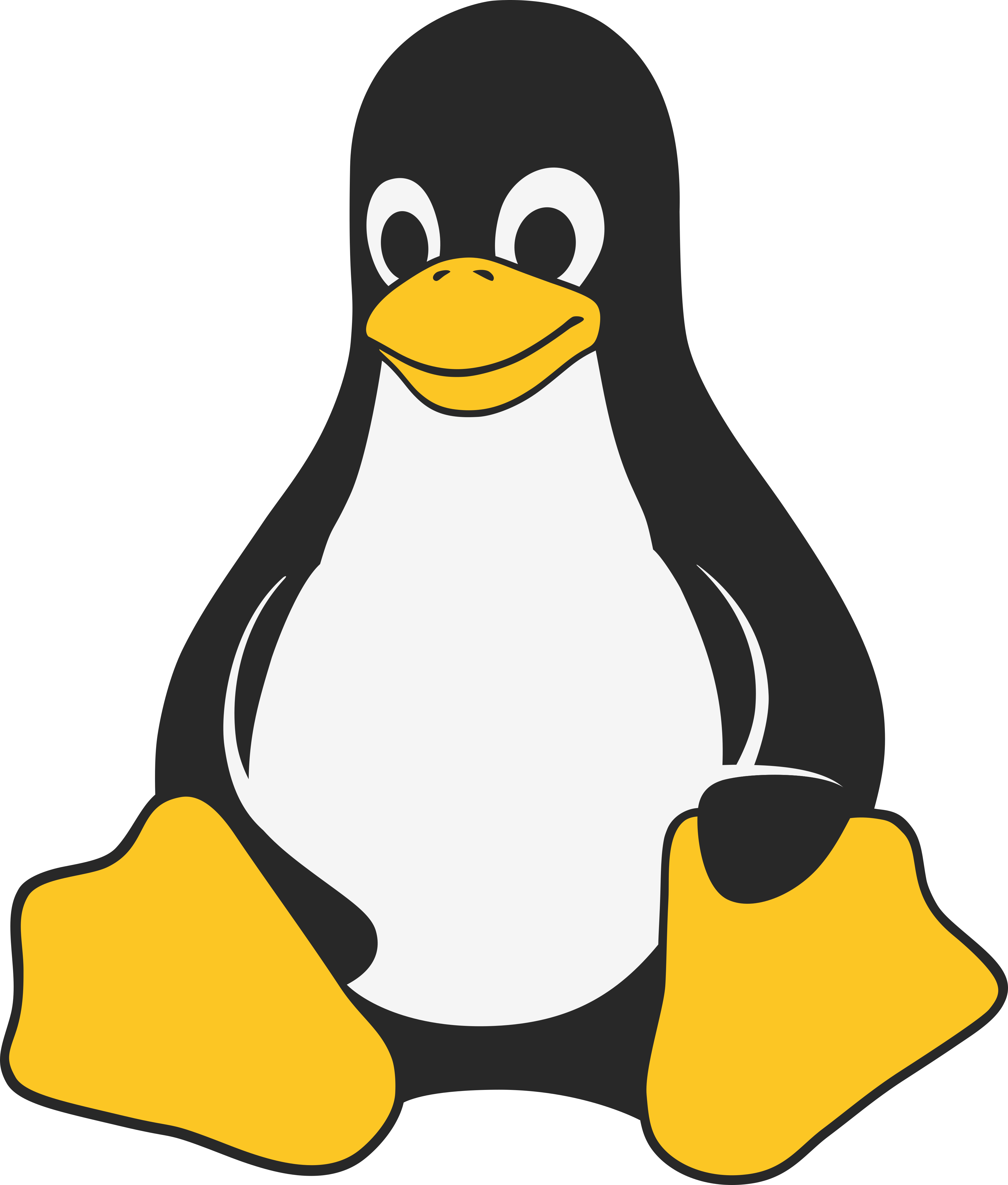 Download Pinguim Png PNG Image with No Background - PNGkey.com