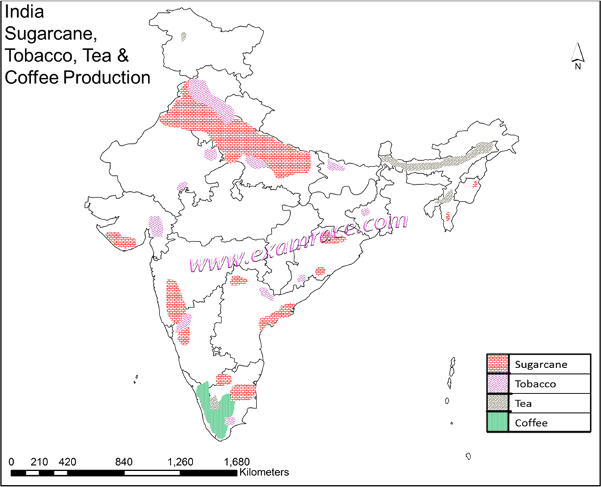 India Sugarcane Tobacco, Tea And Coffee Production - Free Transparent ...