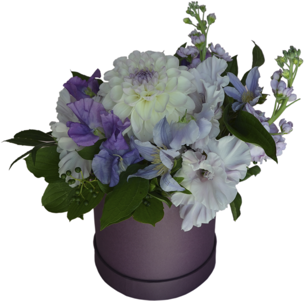 Download The Snow Queen Flower Shop Studio Flores PNG Image with No ...