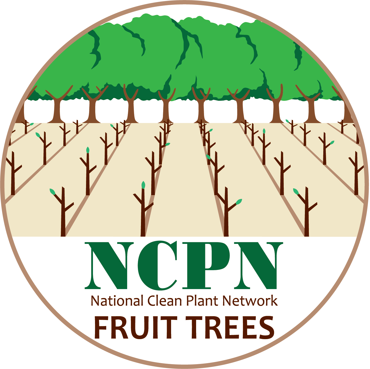 Download Ncpn-fruit Tree Png - Fruit Tree PNG Image with No Background ...