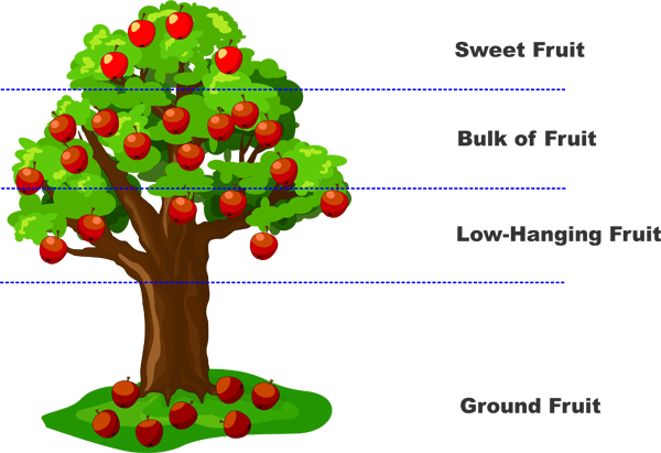 Download Apple Tree - Lean Low Hanging Fruit PNG Image with No ...