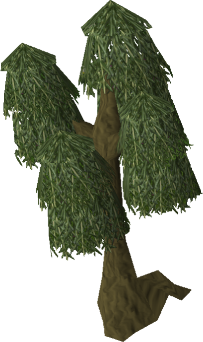 Image Willow Tree Old Png Runescape Wiki Fandom Powered - Runescape ...