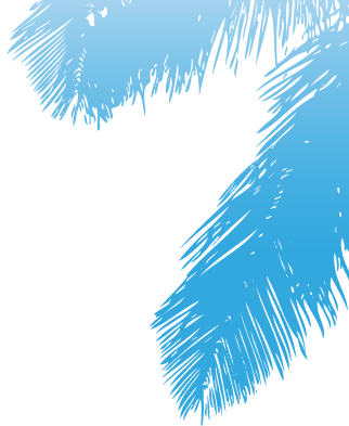 Download Dope Backgrounds Png - Palm Tree PNG Image with No Background ...