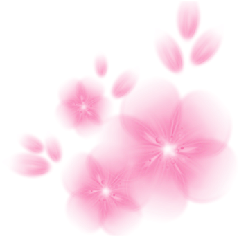 Download Upload Our Effects In Your Glitter Effect Png - Pink Flowers ...