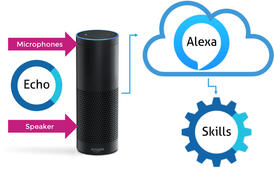 Download For Example, The Amazon Echo Pictured Here Contains - Alexa ...