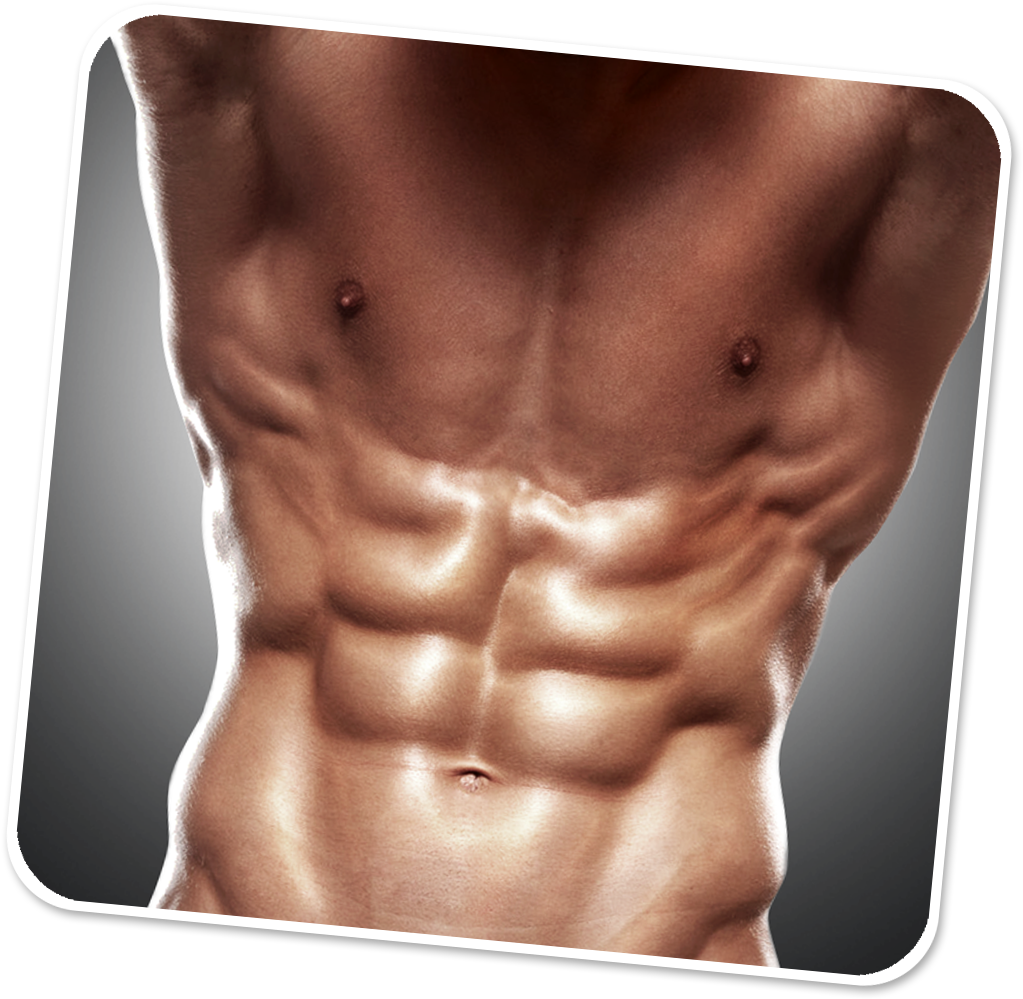 Fighter Abs - Free Transparent PNG Download - PNGkey