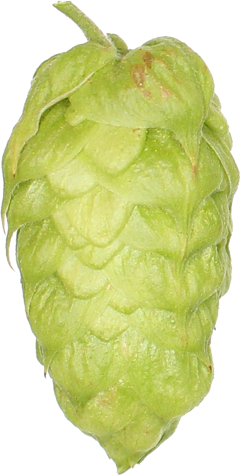 Download Zeus Pellet Hops 2018 Michigan Grown PNG Image with No ...