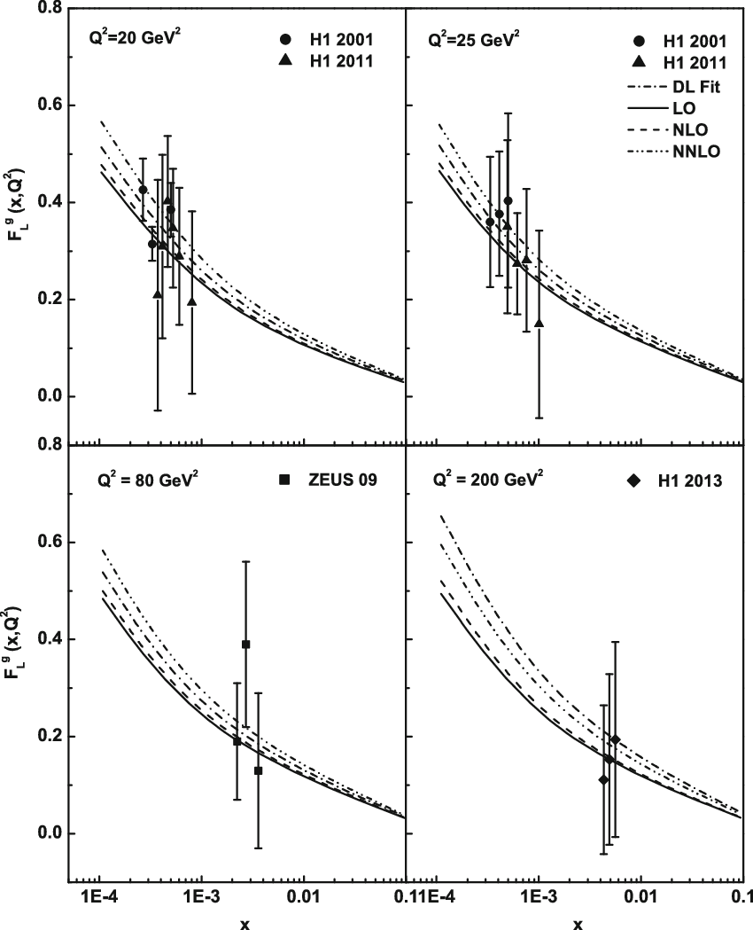 Xylem Longitudinal
