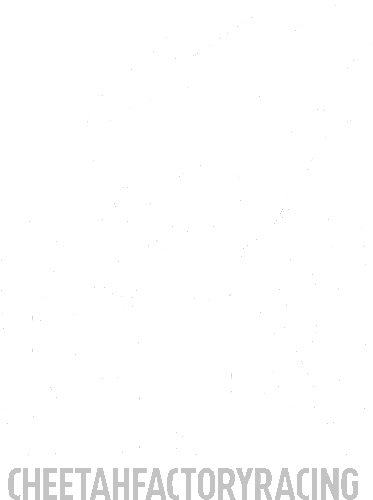 Cheetah Factory Racing Snowmobile Logo - Free Transparent PNG Download - PNGkey