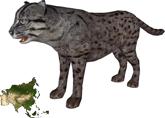 Download Fishing Cat PNG Image with No Background - PNGkey.com