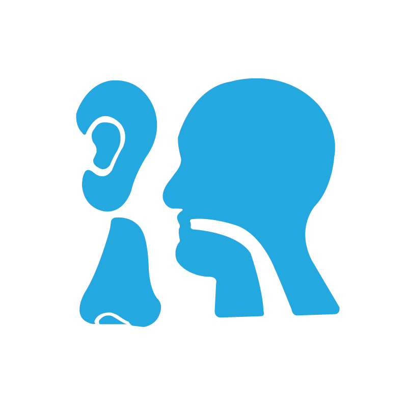 Download Ent PNG Image with No Background - PNGkey.com