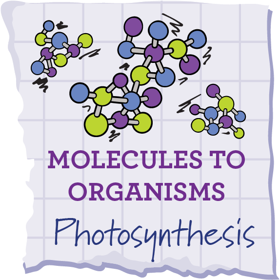 Download Previous Lesson Next Lesson Unit Overview PNG Image with No ...