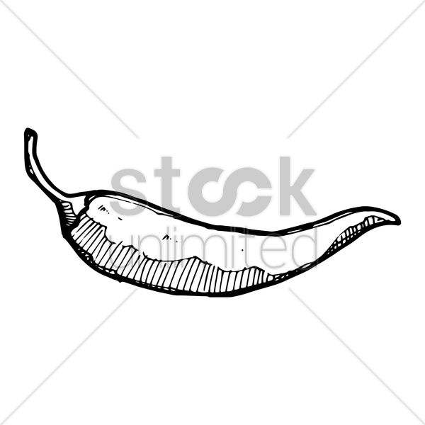 Download Chili Drawing At Getdrawings PNG Image with No Background ...