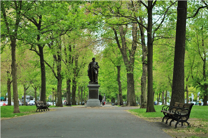 Download Boston Common Statue PNG Image with No Background - PNGkey.com