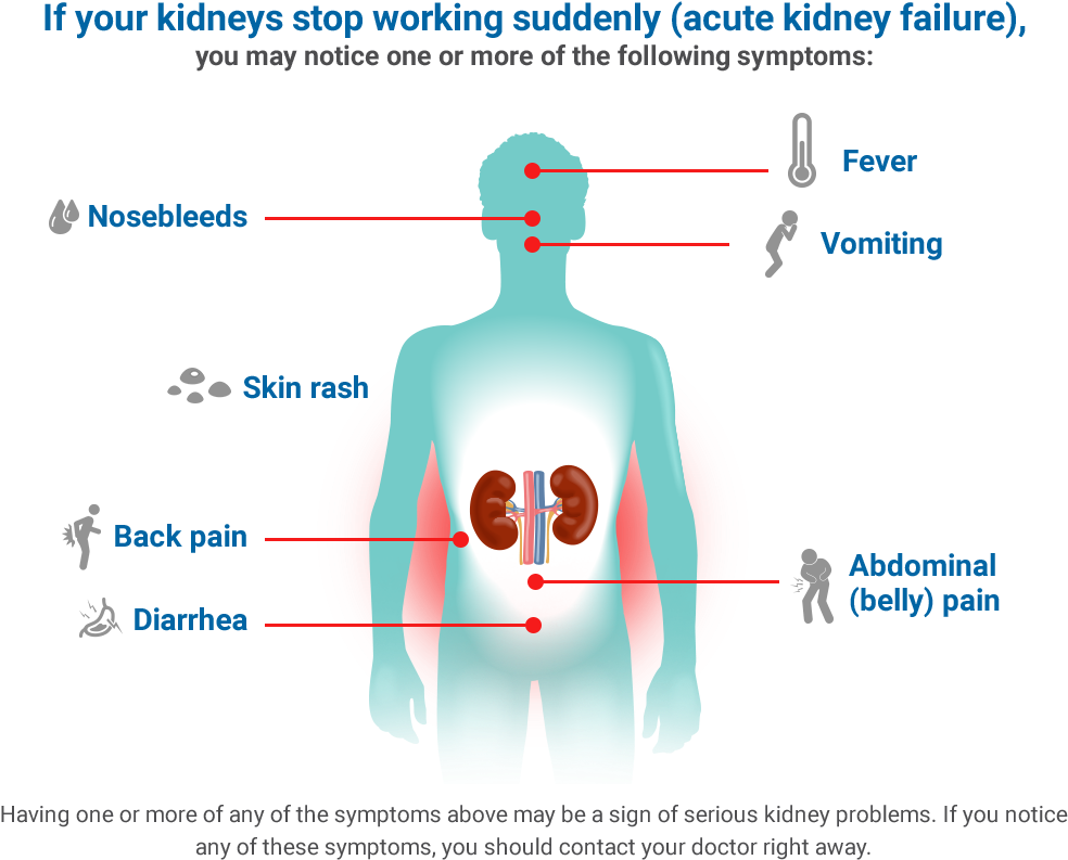 Download Download A Printable Version Of This Information » PNG Image ...