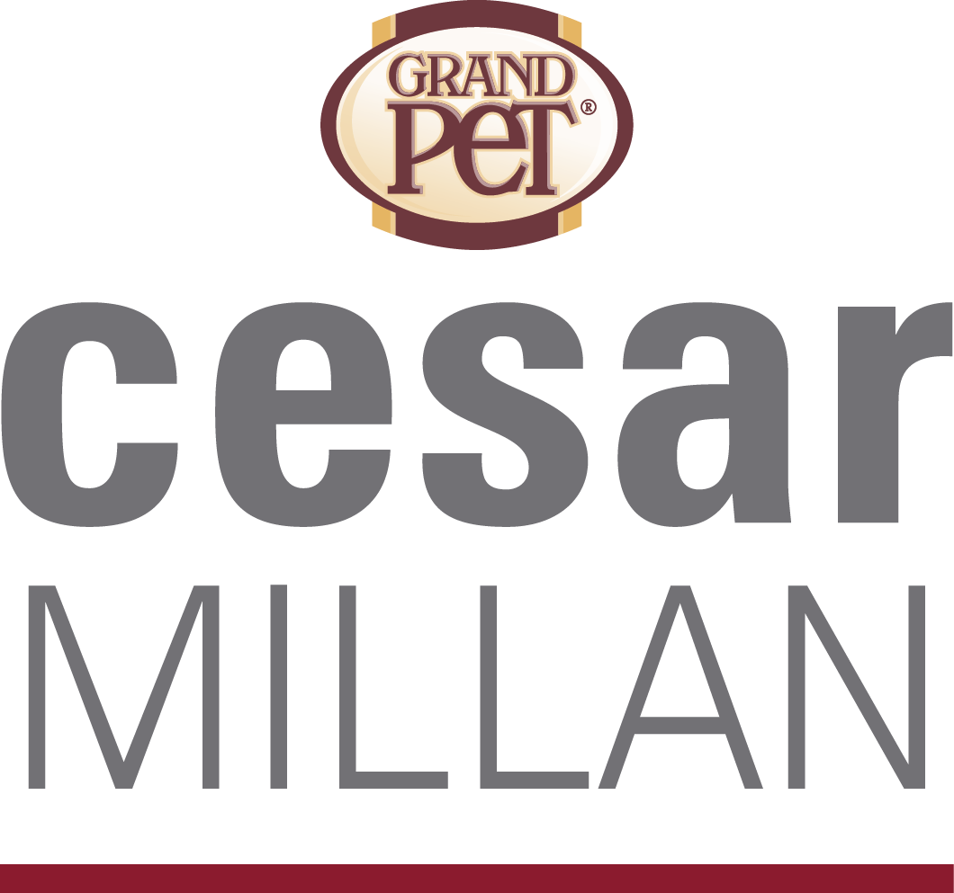 Download Logo Cesar Millan PNG Image with No Background - PNGkey.com
