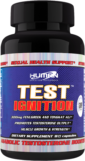 Download [view Image] PNG Image with No Background - PNGkey.com