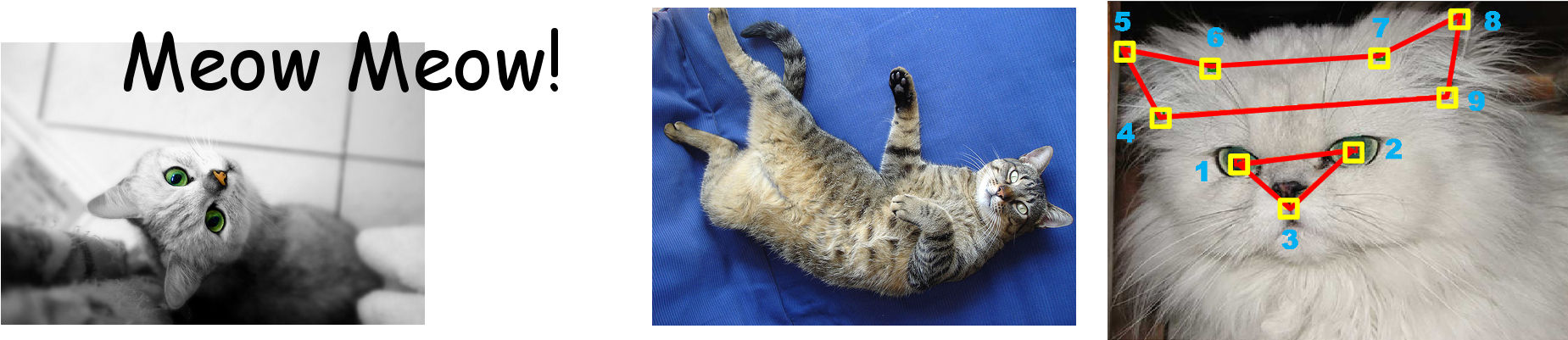 Download Cat Meow Png PNG Image with No Background - PNGkey.com