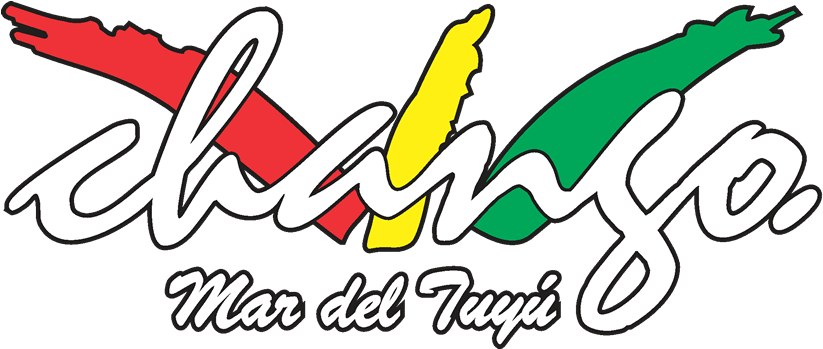 Download Chango Disco PNG Image with No Background - PNGkey.com