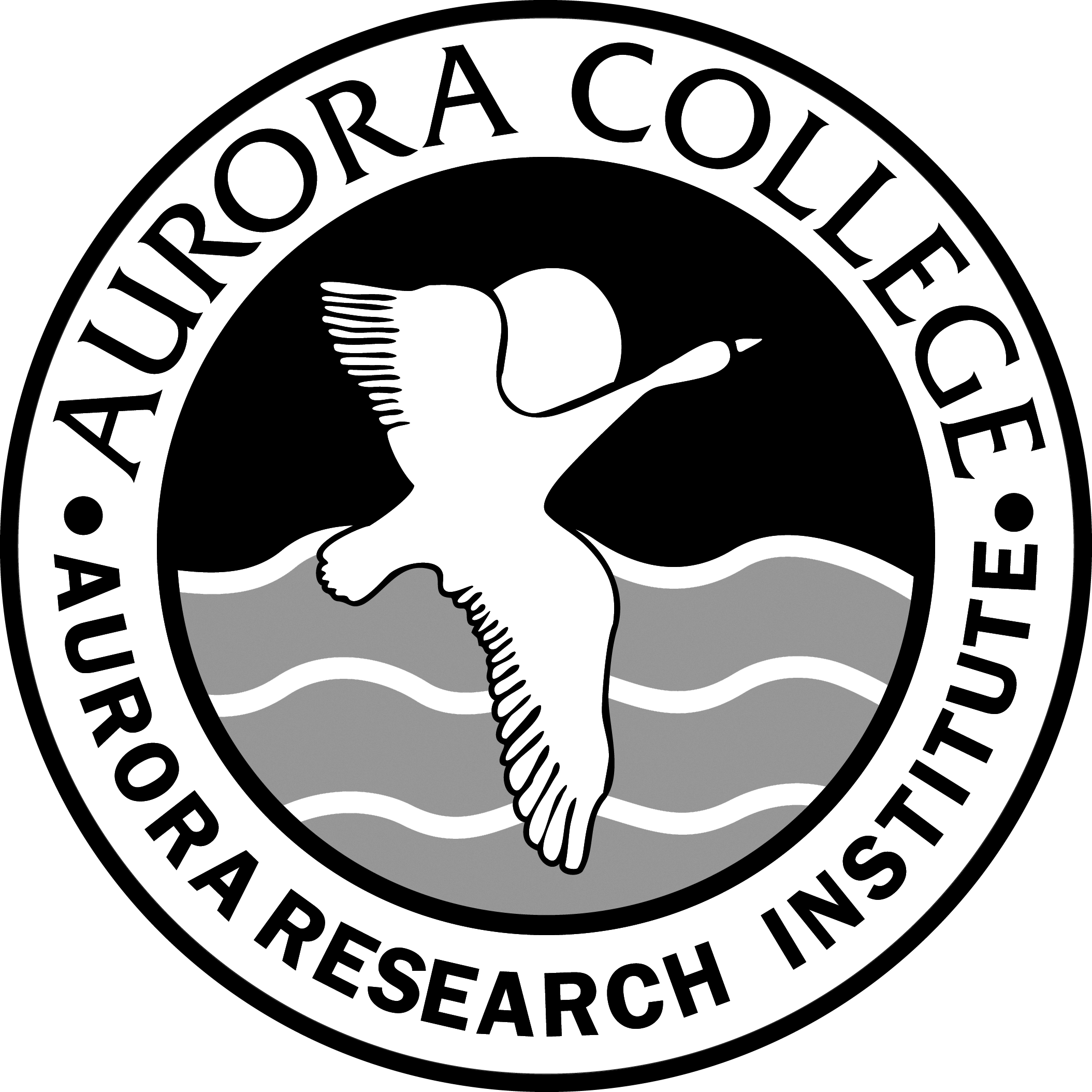 Download Ari Horizontal Logo - Aurora Research Institute PNG Image with ...