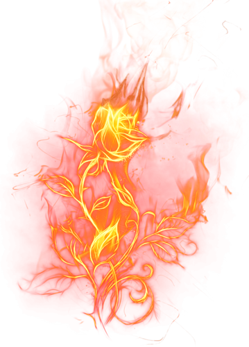 Art Of Fire - Fire Rose Png - Free Transparent PNG Download - PNGkey