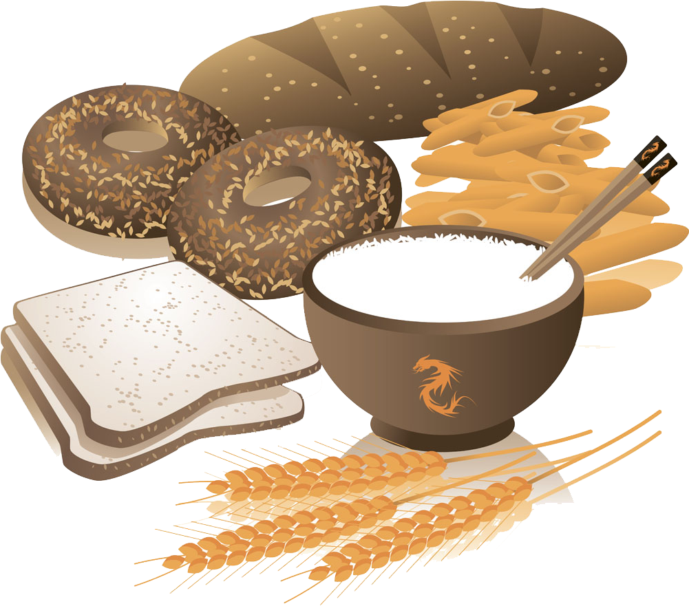 Download Breakfast Whole Wheat Bread Clip Art And - Grain Food Vector ...