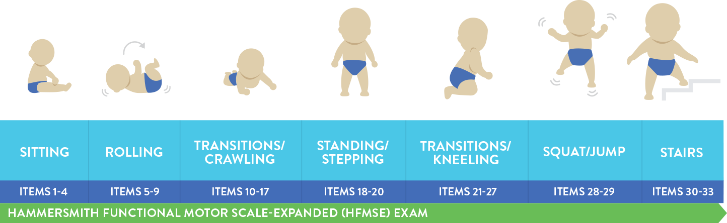 Download Hammersmith Functional Motor Scale PNG Image with No ...